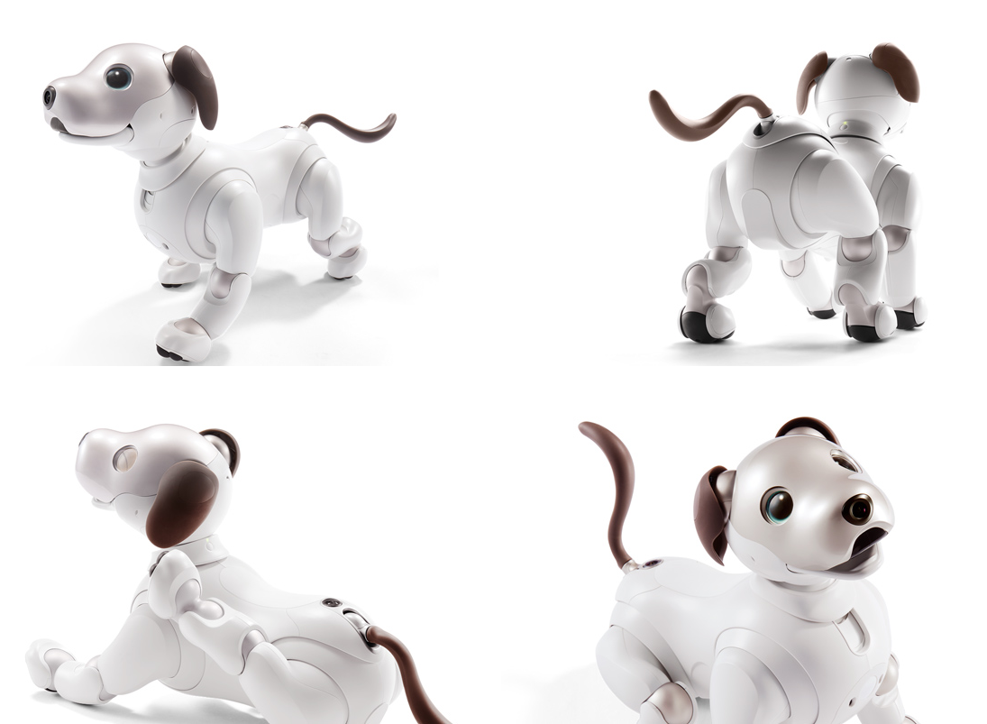 即將開放預購，Sony 超可愛的機器狗 aibo 來了 | T客邦