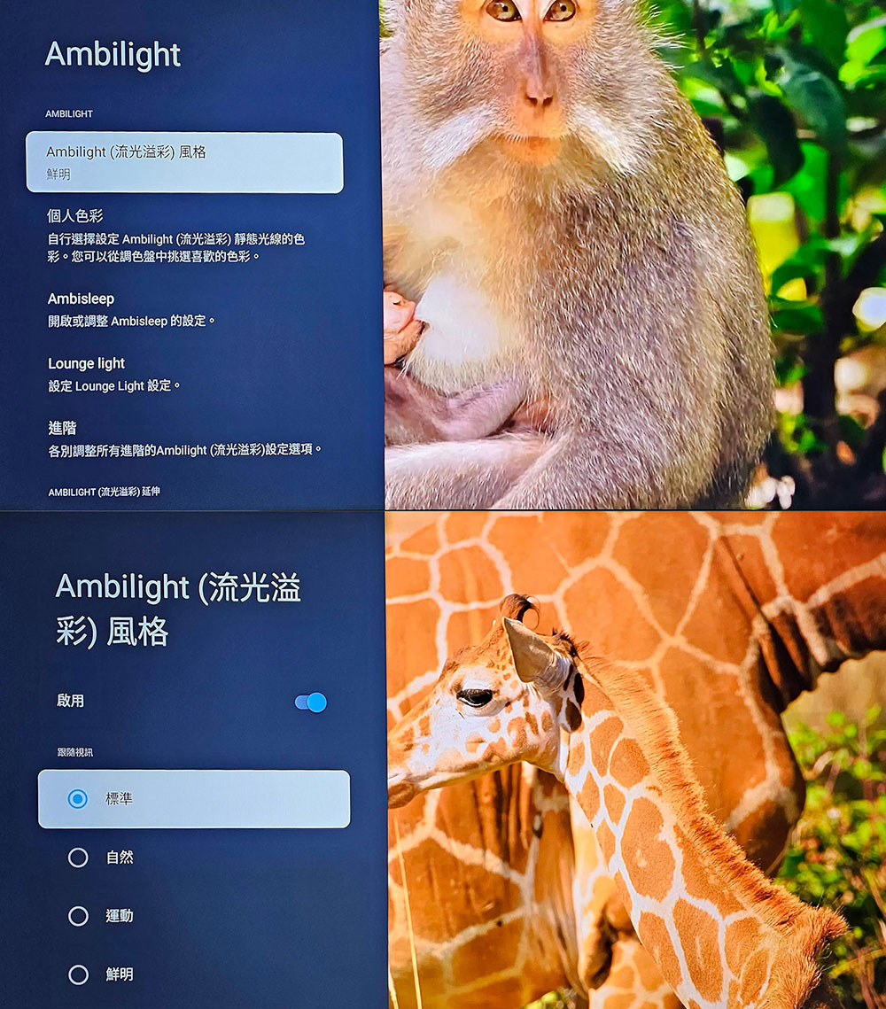 Philips 大型顯示器 75PML9108 開箱實測：P5 智慧影像處理技術，搭配 Xtra mini LED 鮮明對比與量子點顯色帶來栩栩如生的影像體驗！ | T客邦